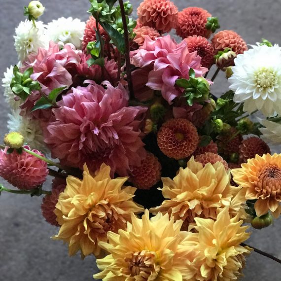 LynnVale Studios | flower farm & studio