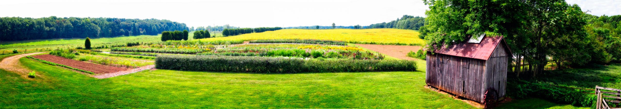 LynnVale Studios | Garden-Pan-9-04-A-copy