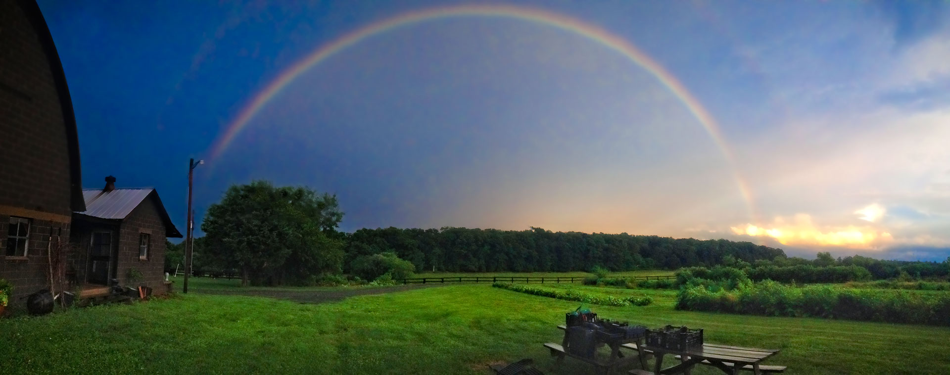 LynnVale Studios | June-Rainbow-2015-Alt-1